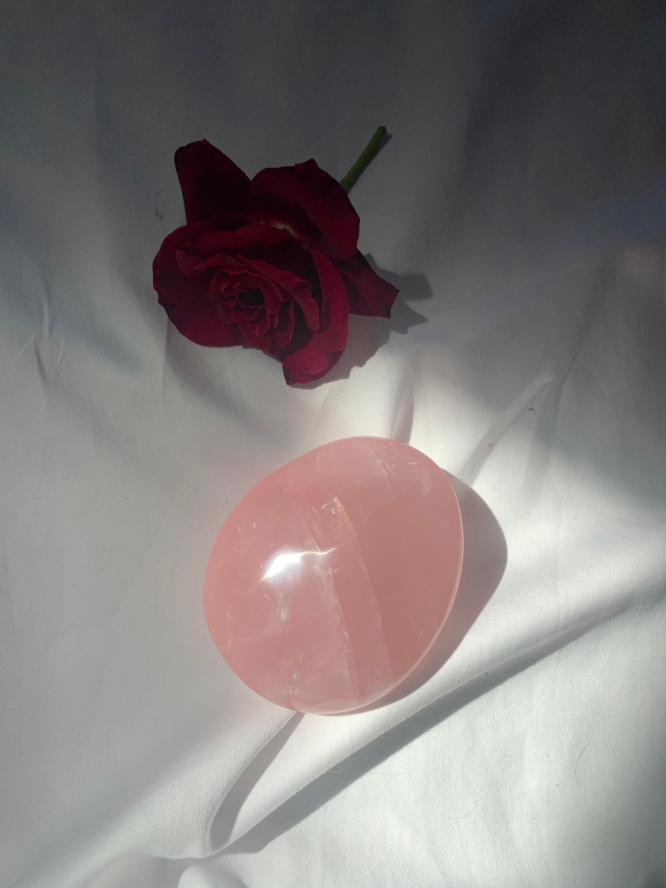 Gran palmera rosa de Brasil | Etsy