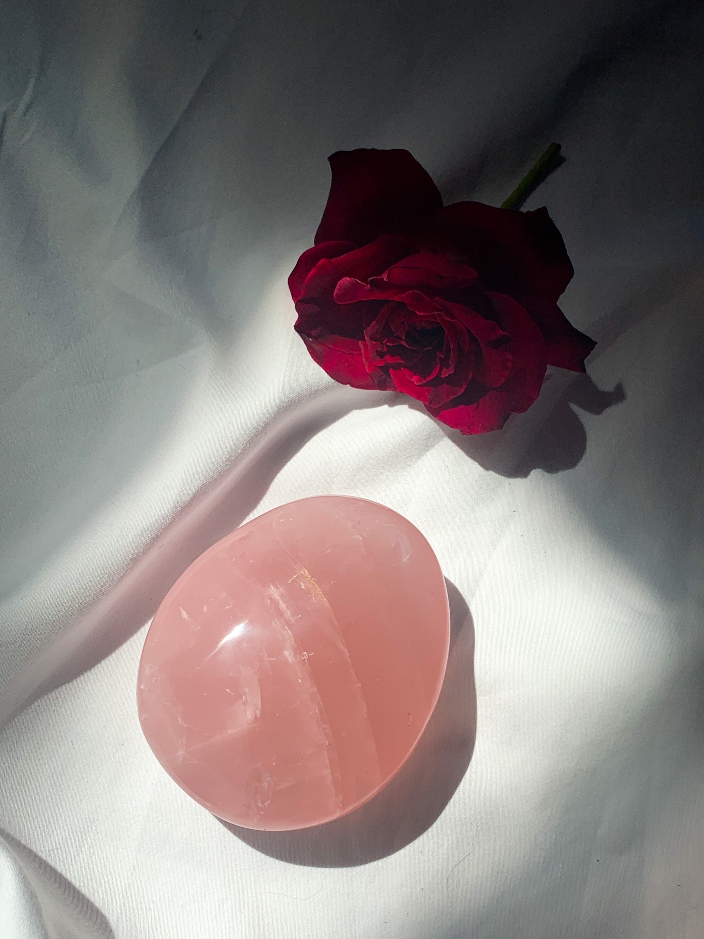 Gran palmera rosa de Brasil | Etsy