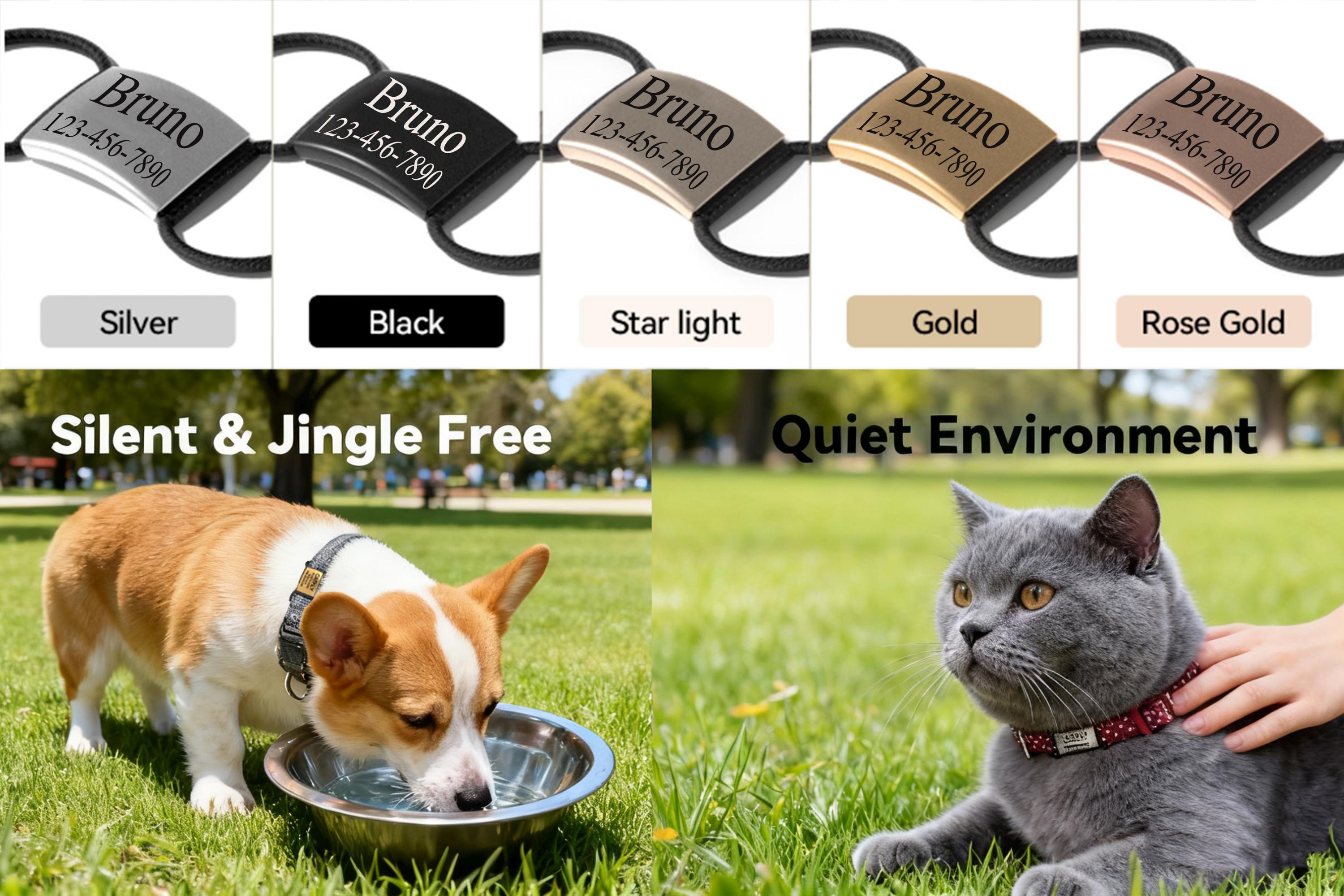 Custom Slide on Cat Id Tag,cat Name Tag Silent,no Noise Slide Cat ...