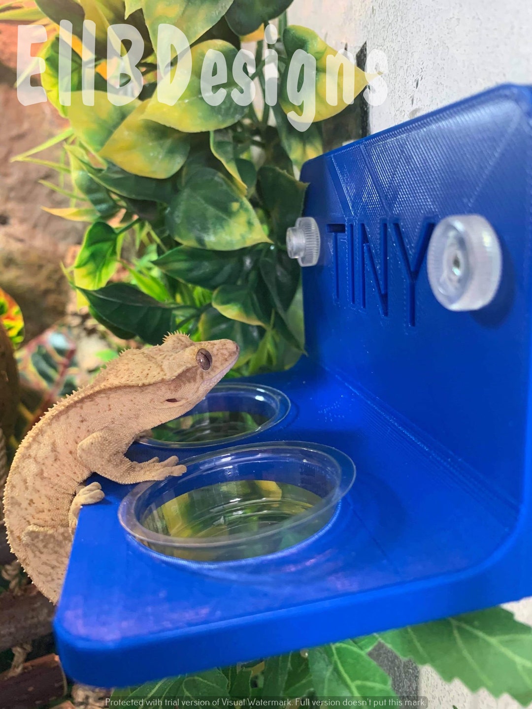 12cm Custom Personalised Gecko Feeding Ledge - Etsy