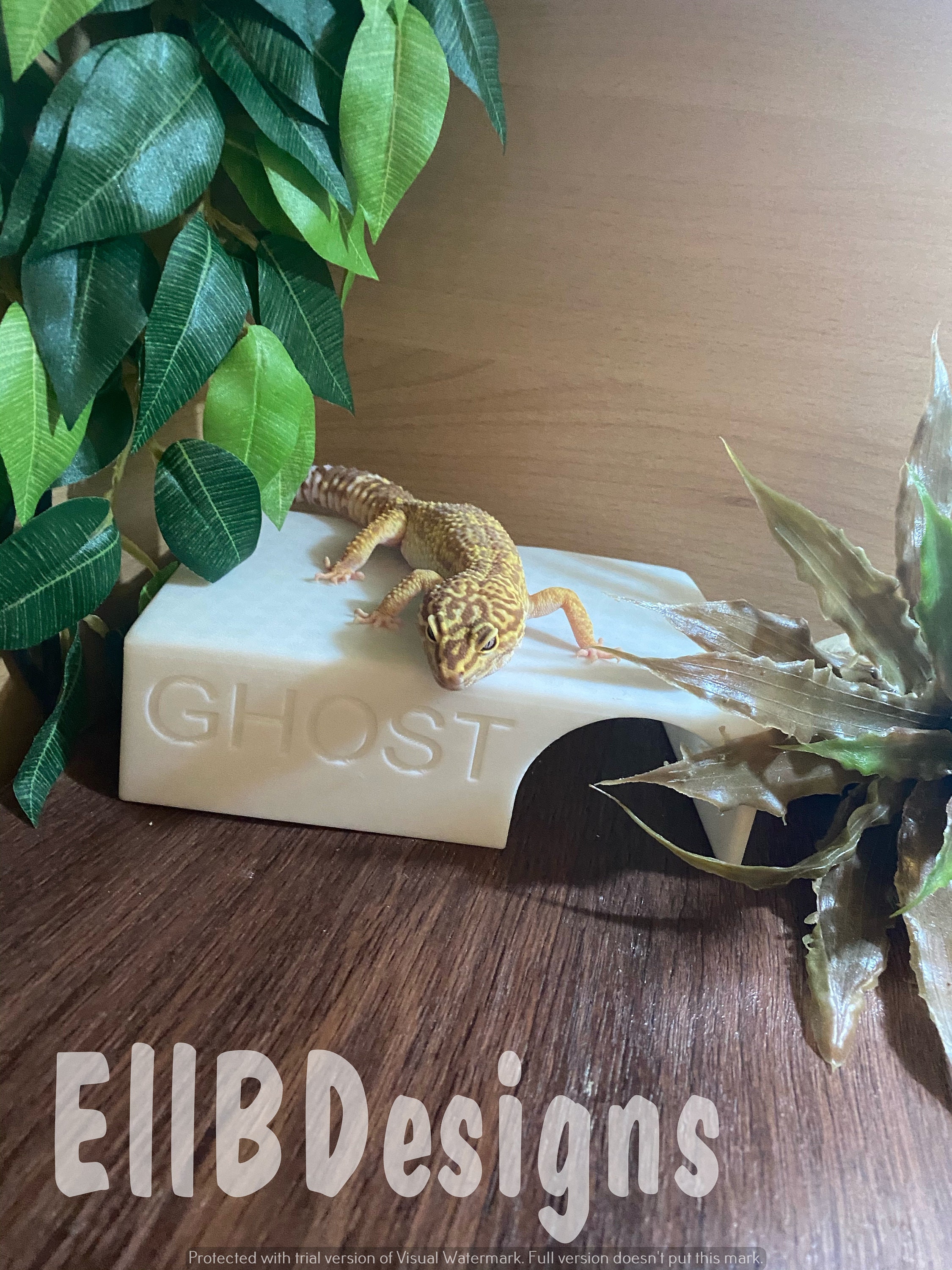 Personalised Reptile Hide leopard Gecko - Etsy UK