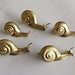 Snails Brass Knobs and Pulls/drawer Knobs/cabinet - Etsy