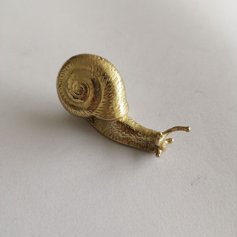 Snails Brass Knobs and Pulls/drawer Knobs/cabinet - Etsy