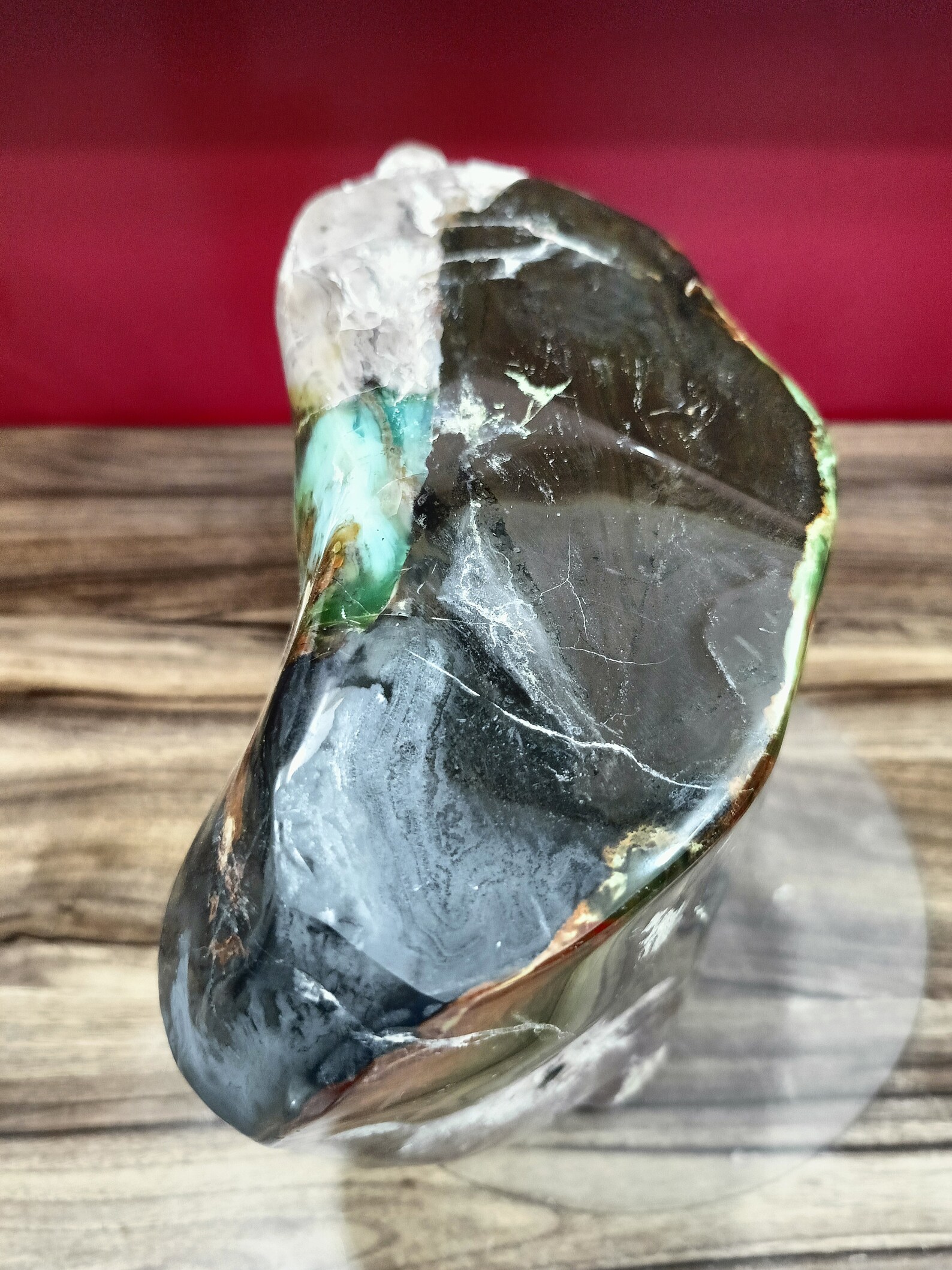 13500gr Rare Strong Energy Blue Green Black Brown Suiseki Tree Fossil ...