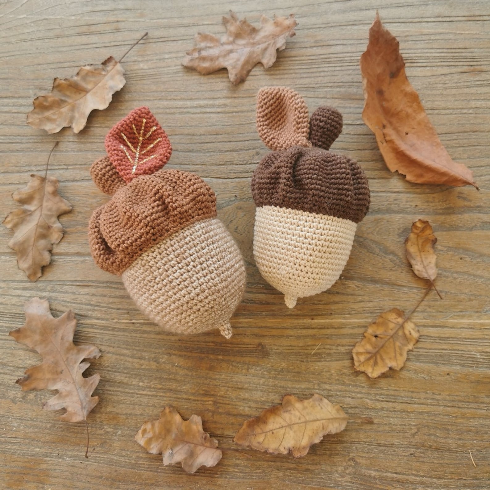 Acorn Crochet - Crochet Pattern PDF in English (US Terms) French - Etsy