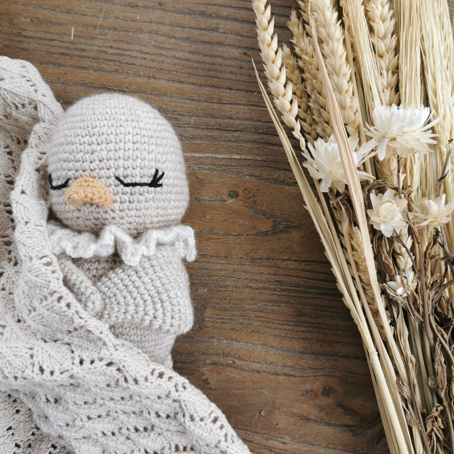 My Little Bird Crochet Pattern PDF in English US Terms | Etsy