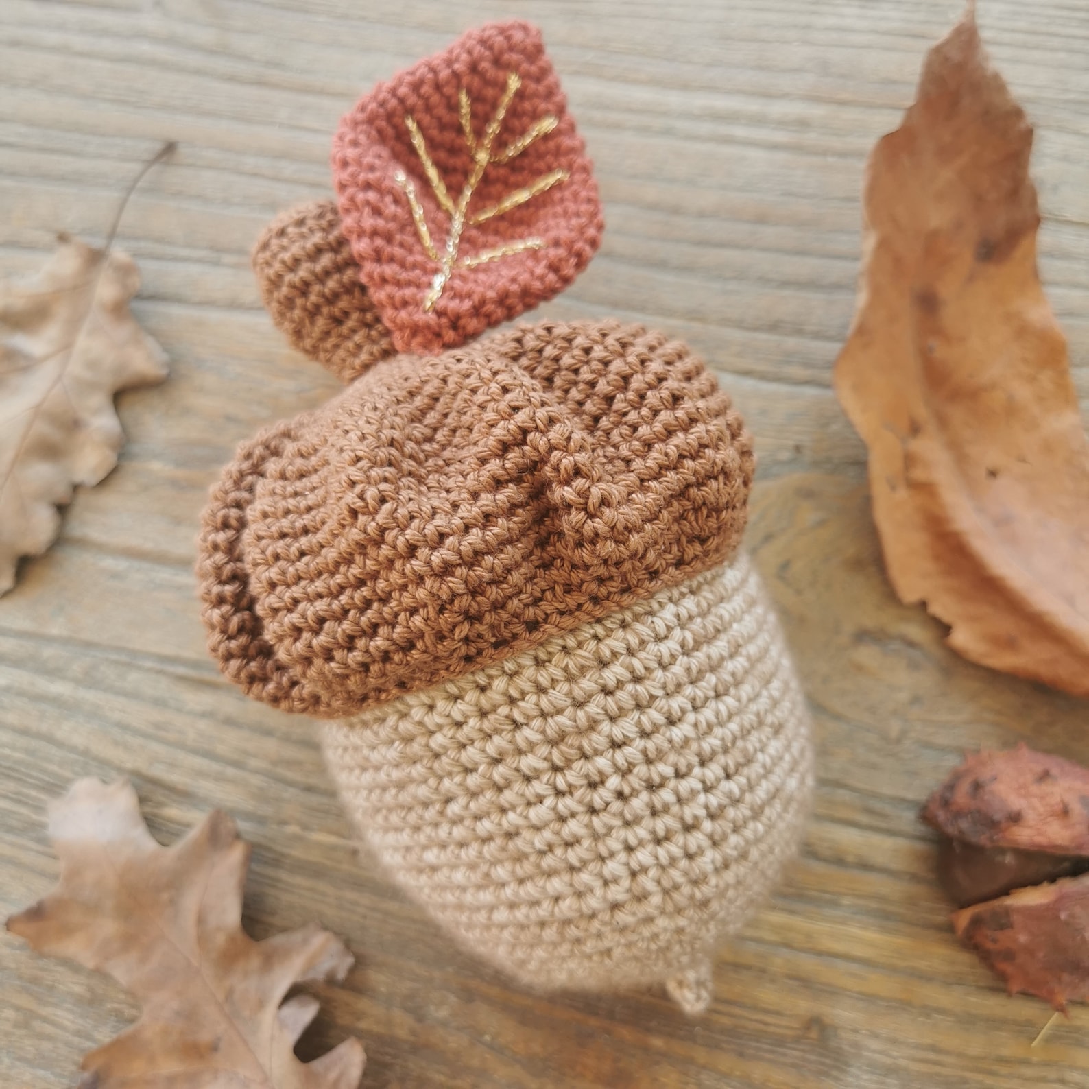 Acorn Crochet - Crochet Pattern PDF in English (US Terms) French - Etsy