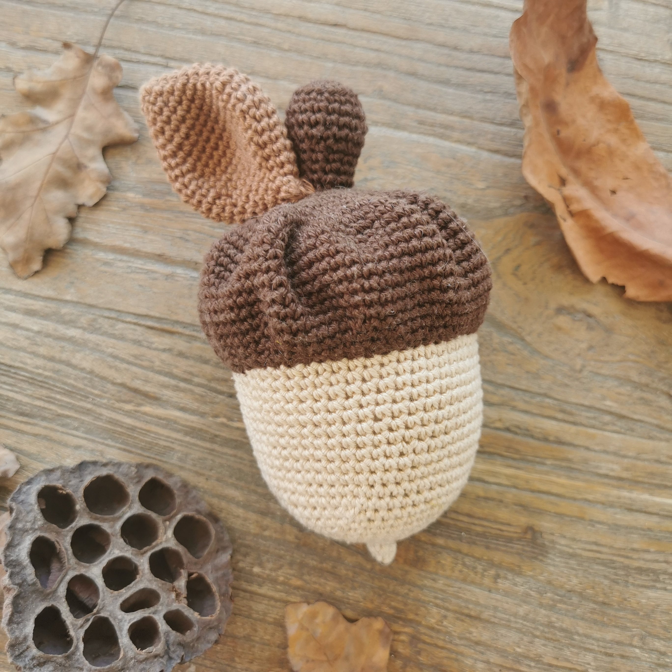 Acorn Crochet - Crochet Pattern PDF in English (US Terms) French - Etsy