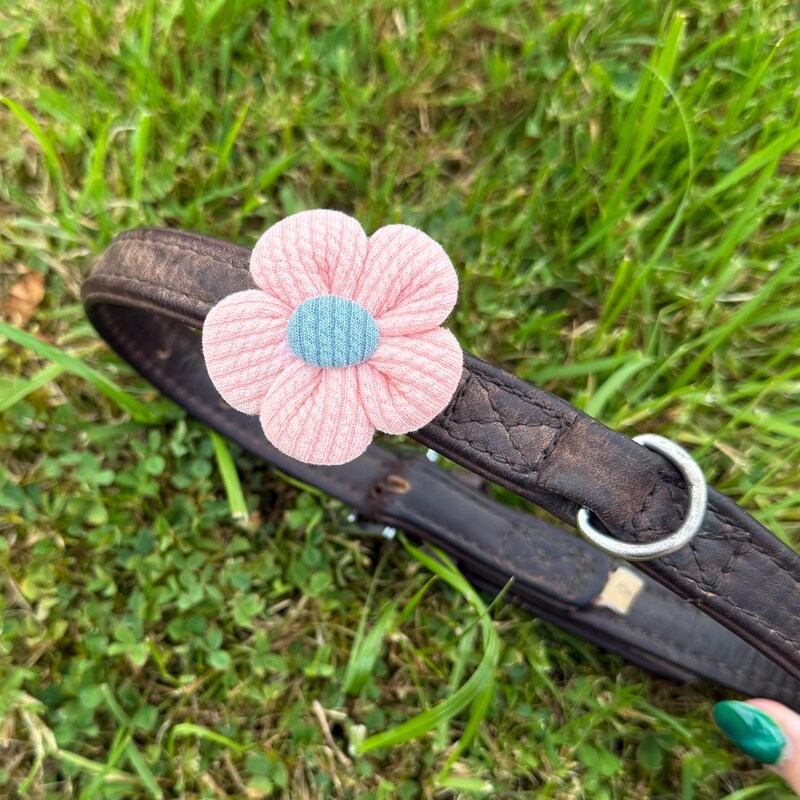 Flower Dog Collar Clip - Etsy UK