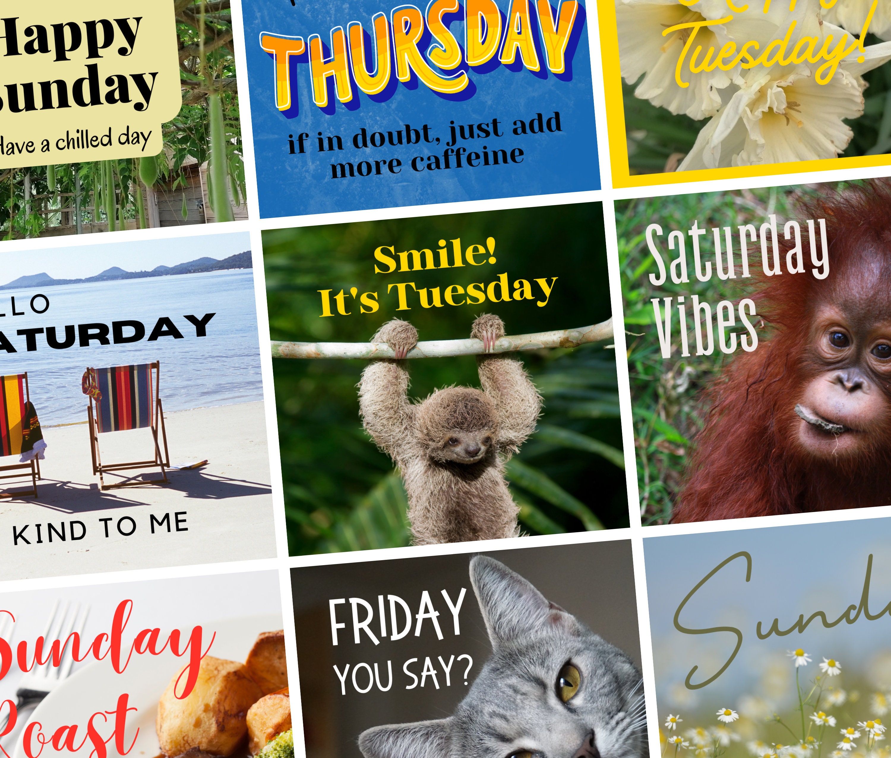 Daily Engagement Social Media Content for Instagram and - Etsy UK