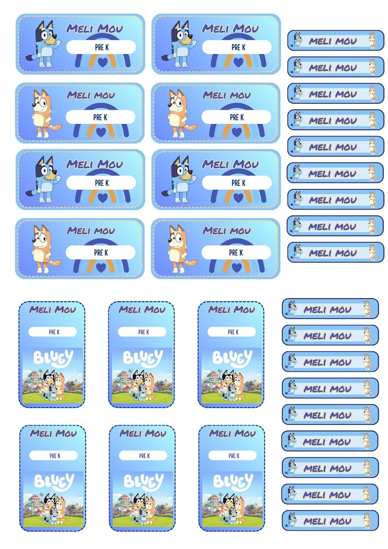 Bluey Back to School Name Labels - Etsy