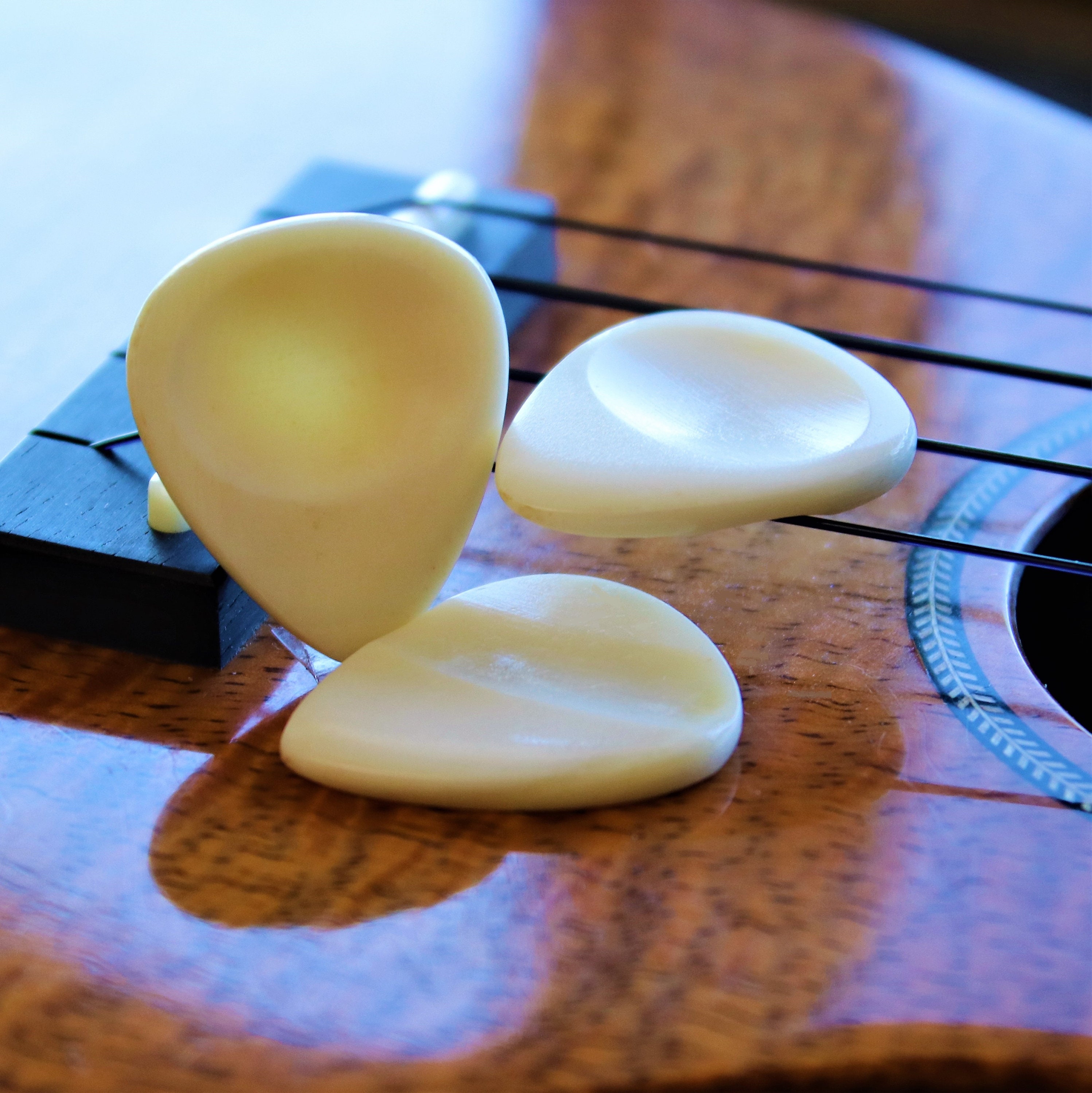 Ivory Guitar Picks