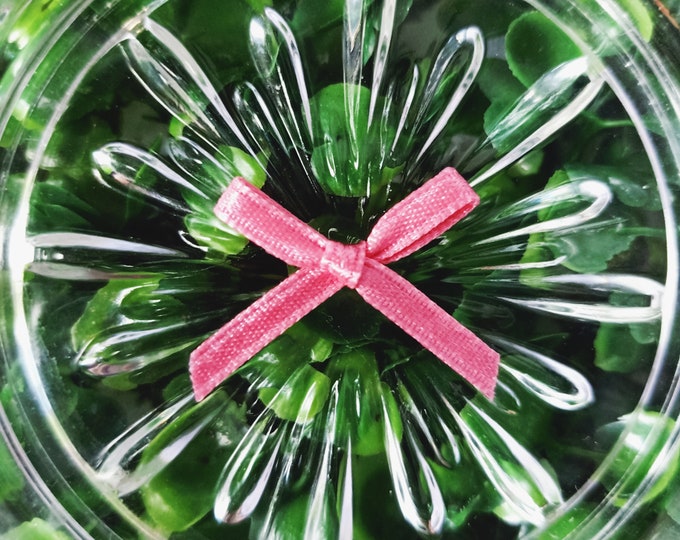 10 PCS - 2.2cm / 0.86" Premium Tiny Sewing on Satin Ribbon Bows, in 18 ...