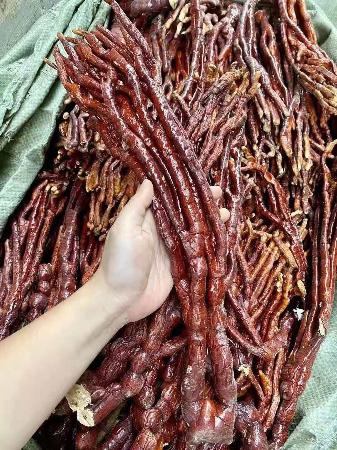 8.8OZ Ganoderma Lucidum, Ganoderma Amboinense, Ganoderma Lucidum Antler ...