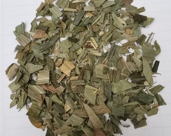 Lophatherum Gracile - Etsy