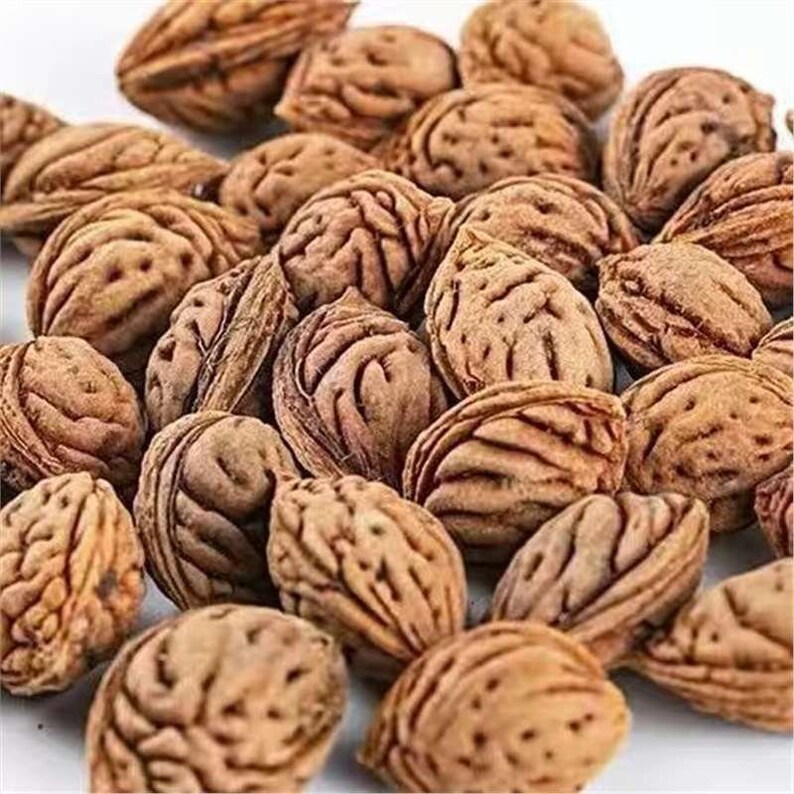 1LB Peach Seeds / Tao - Etsy