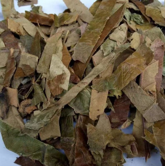 500g Dried Loquat Leaf Herbal Tea Pi Pa Ye - Etsy
