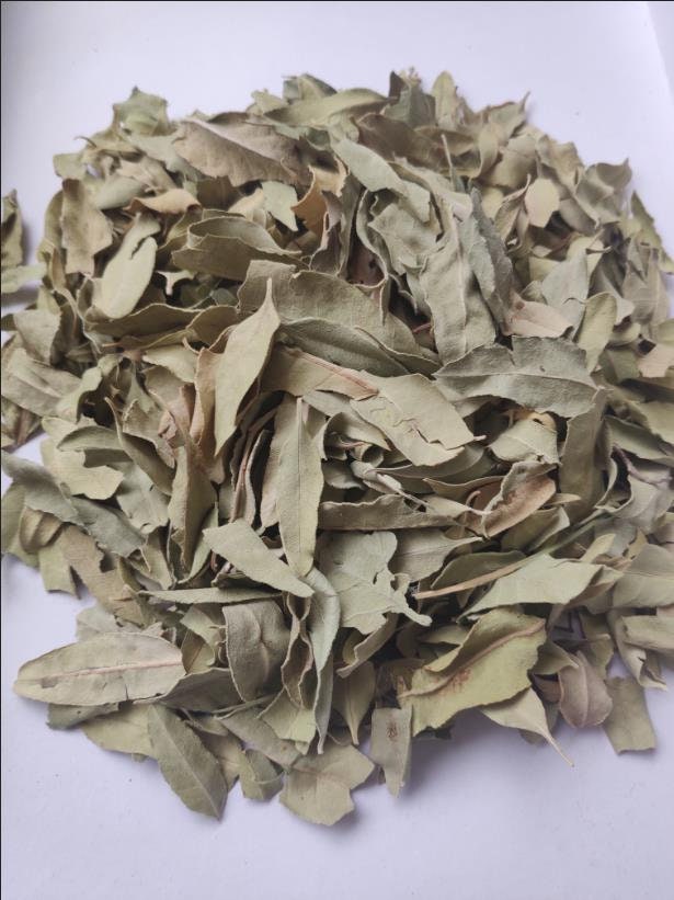 Apocynum Venetum Tea, Dried Dogbane Leaf 250g - Etsy