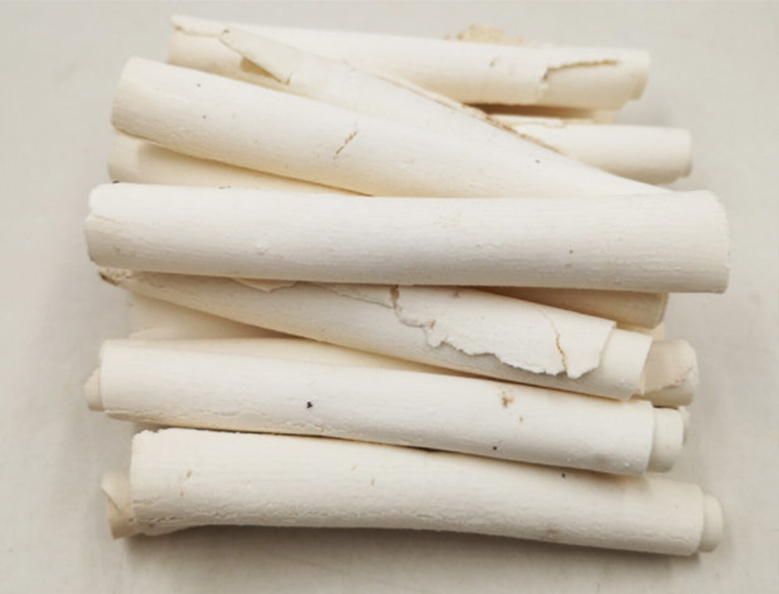 600g Curled Poria Cocos, Fu Ling Juan - Etsy