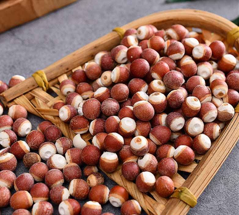 250g Qian Shi, Euryale Ferox Salisb Dried Fox Nuts - Etsy