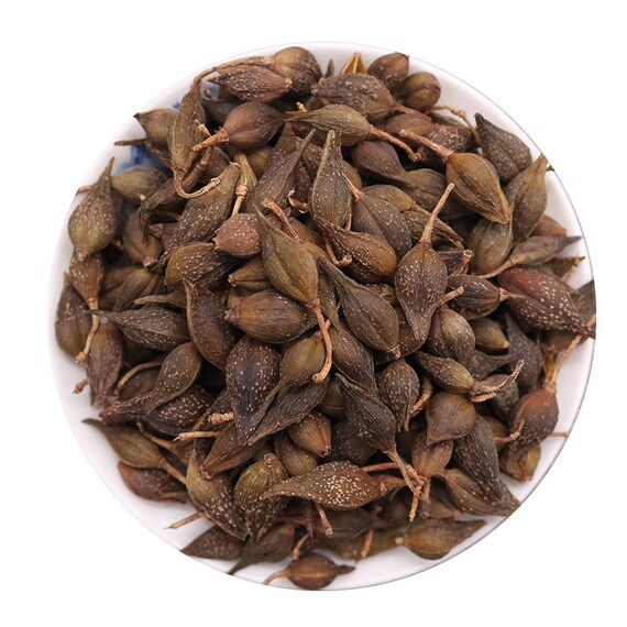 250g Dried Forsythia Suspensa Lian Qiao Mature Forsythiae - Etsy