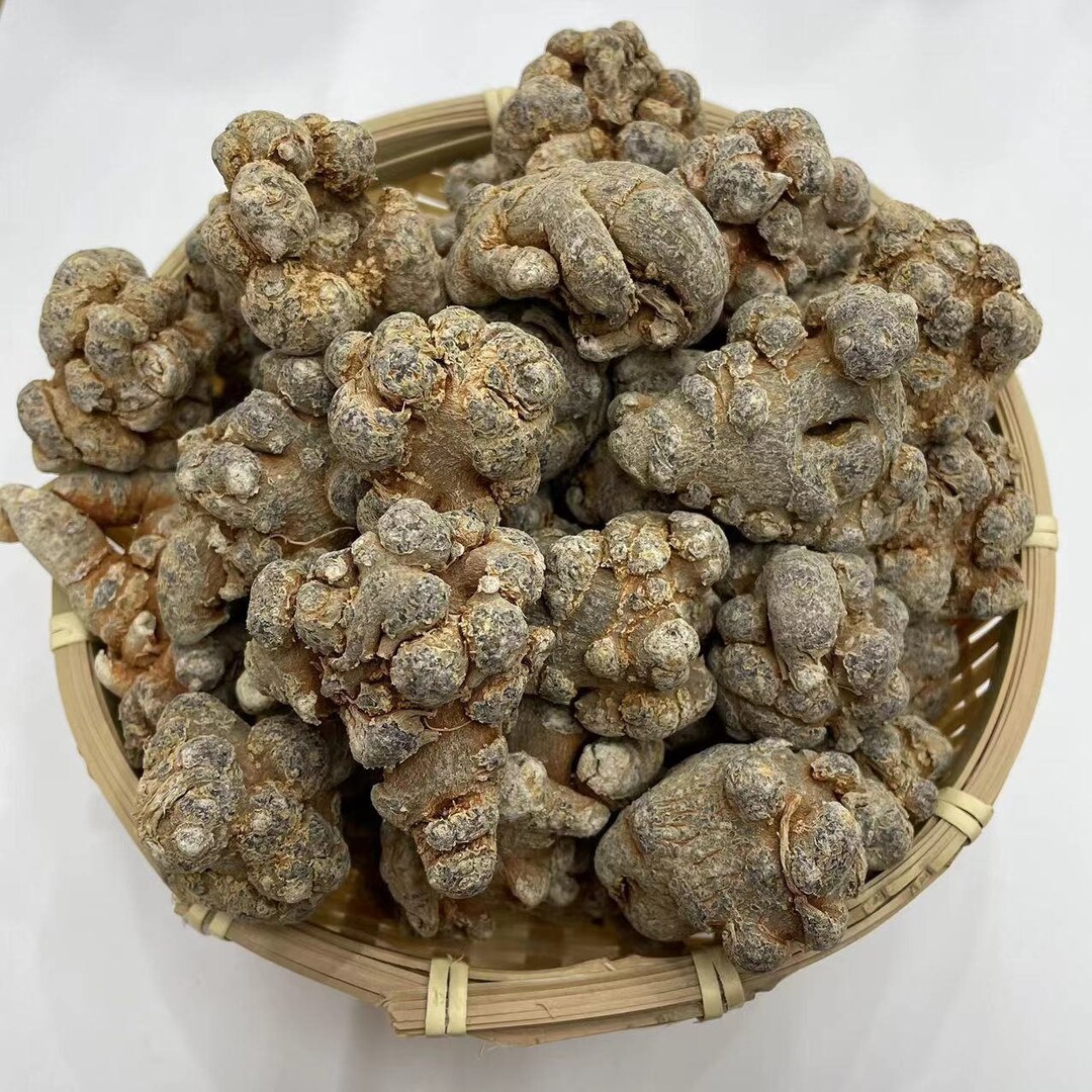 500g Dried Panax Notoginseng Root ( Total 20pcs Roots), San Qi - Etsy