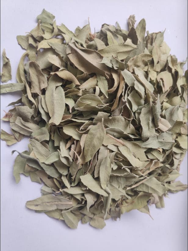 Apocynum Venetum Tea, Dried Dogbane Leaf 250g - Etsy