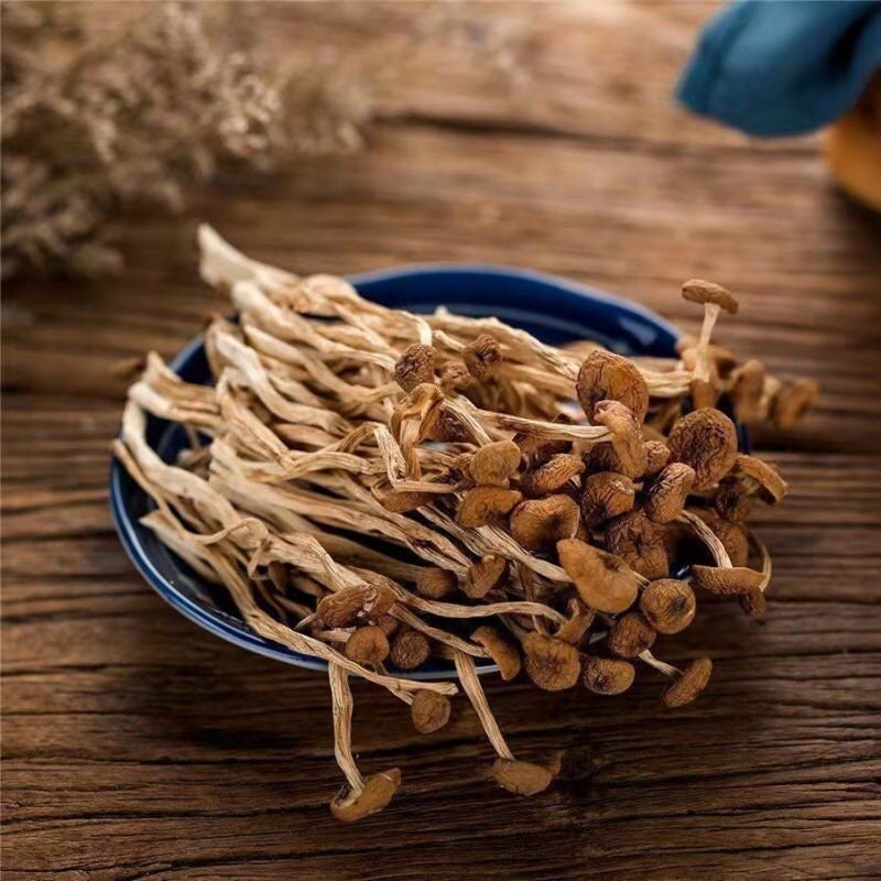 Top Quality Dried Tea Tree Mushrooms, Agrocybe Cylindracea, Cha Shu Gu ...
