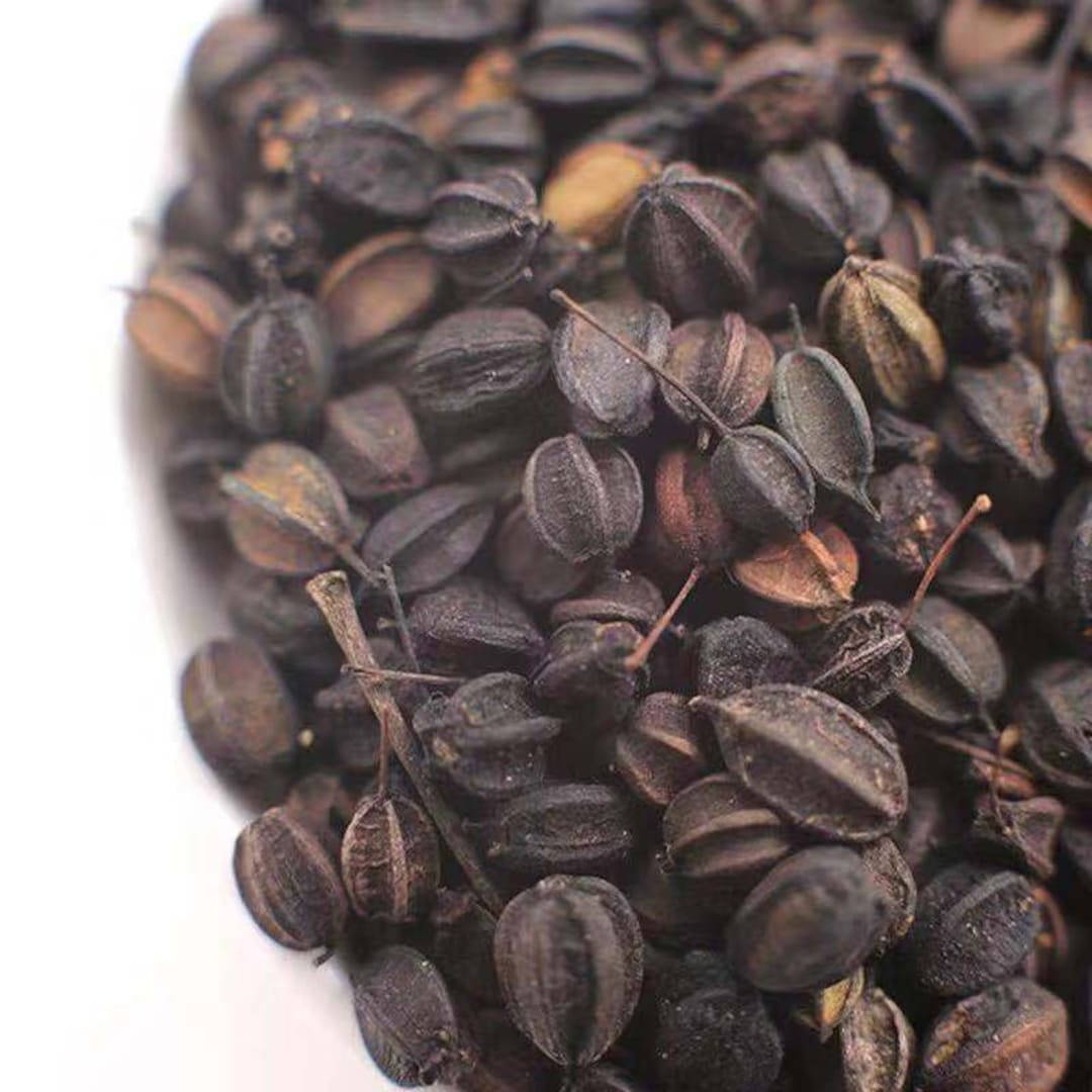 250g Dried Acanthopanax Senticosus Seeds Ci Wu Jia Zi - Etsy