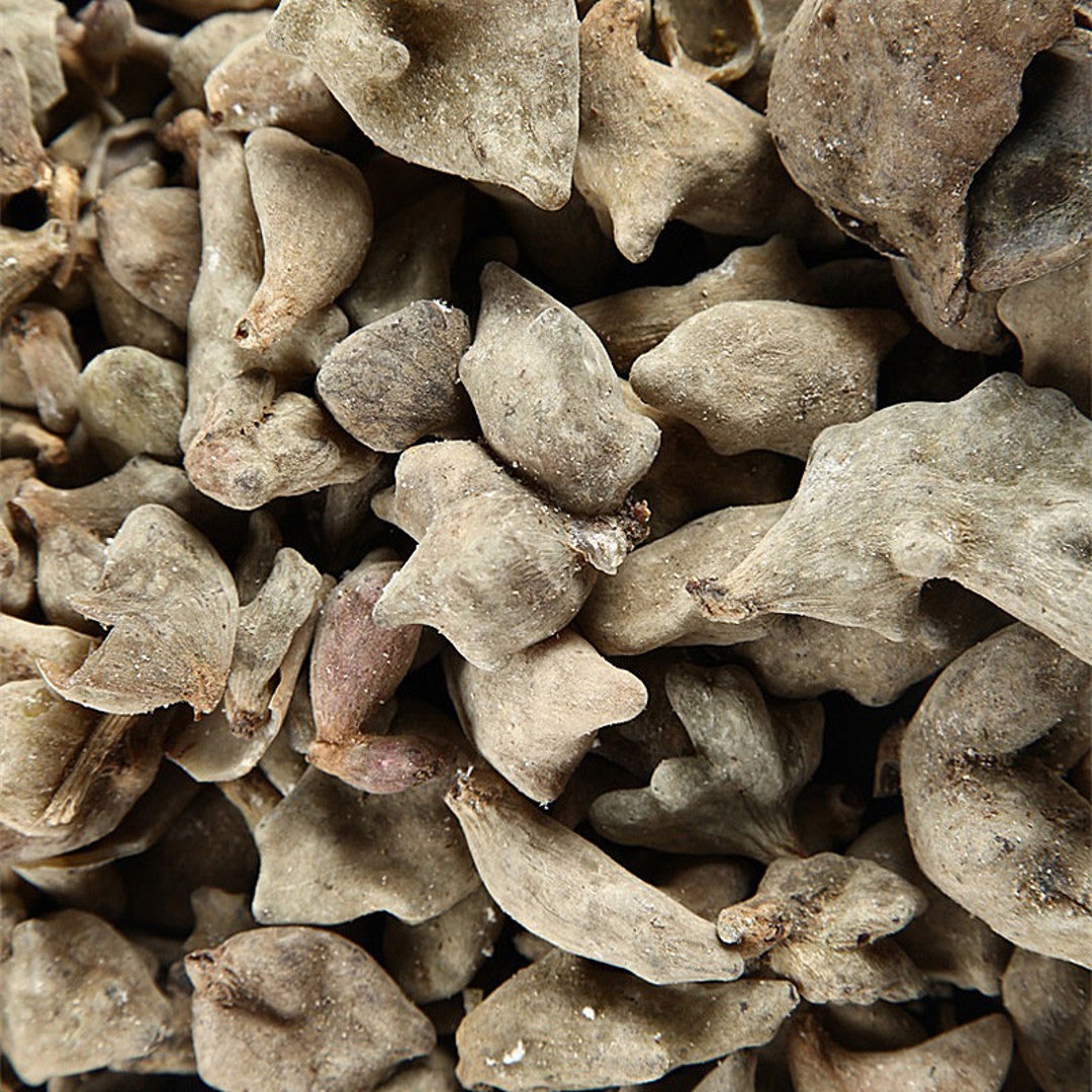 250g Dried Herbs Galla Chinensis, Wu Bei Zi - Etsy