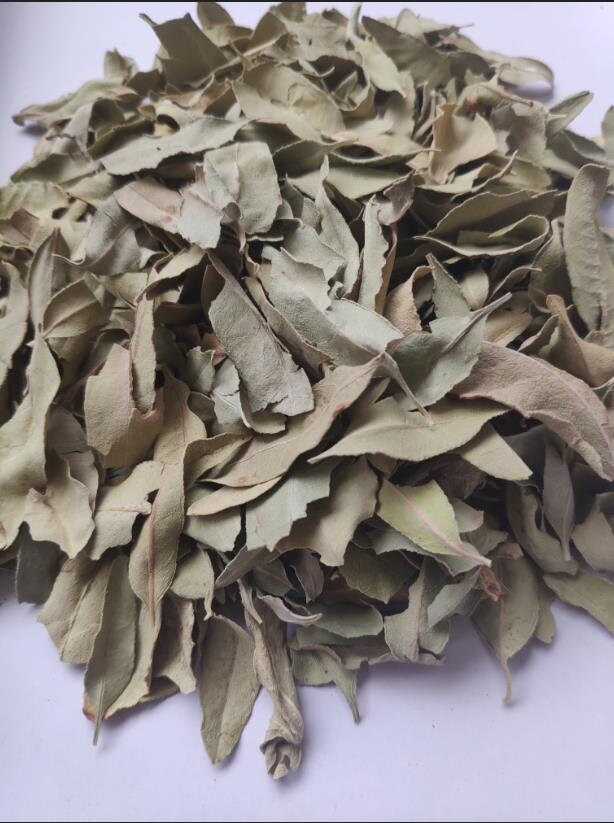 Apocynum Venetum Tea, Dried Dogbane Leaf 250g - Etsy