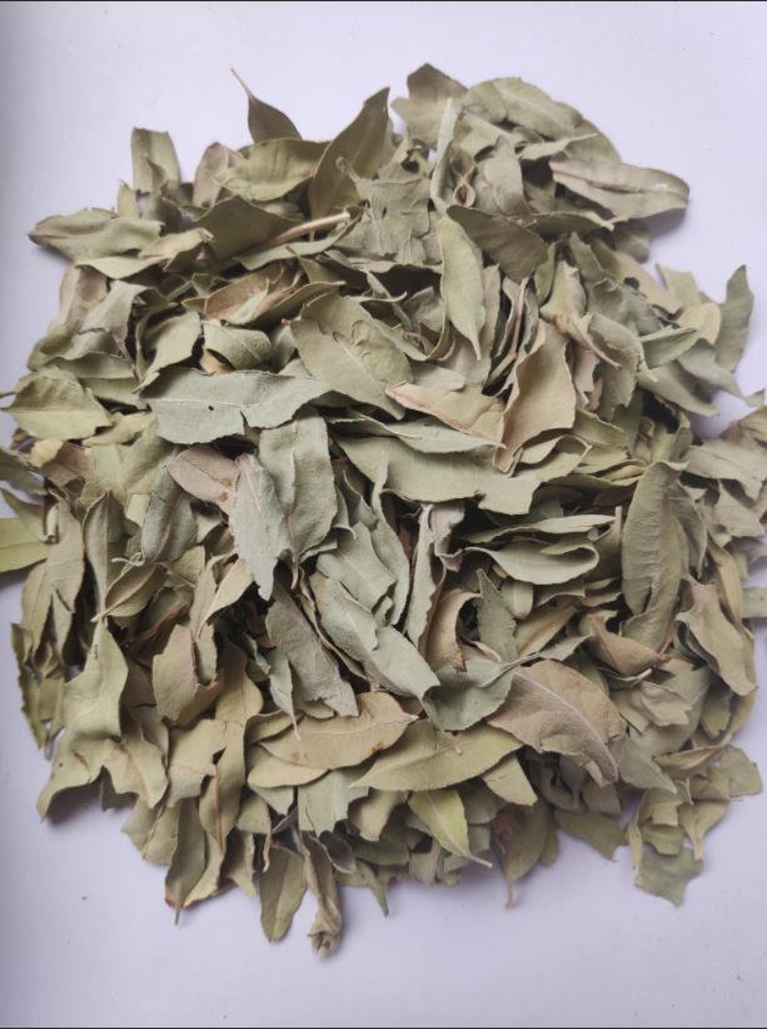 Apocynum Venetum Tea, Dried Dogbane Leaf 250g - Etsy