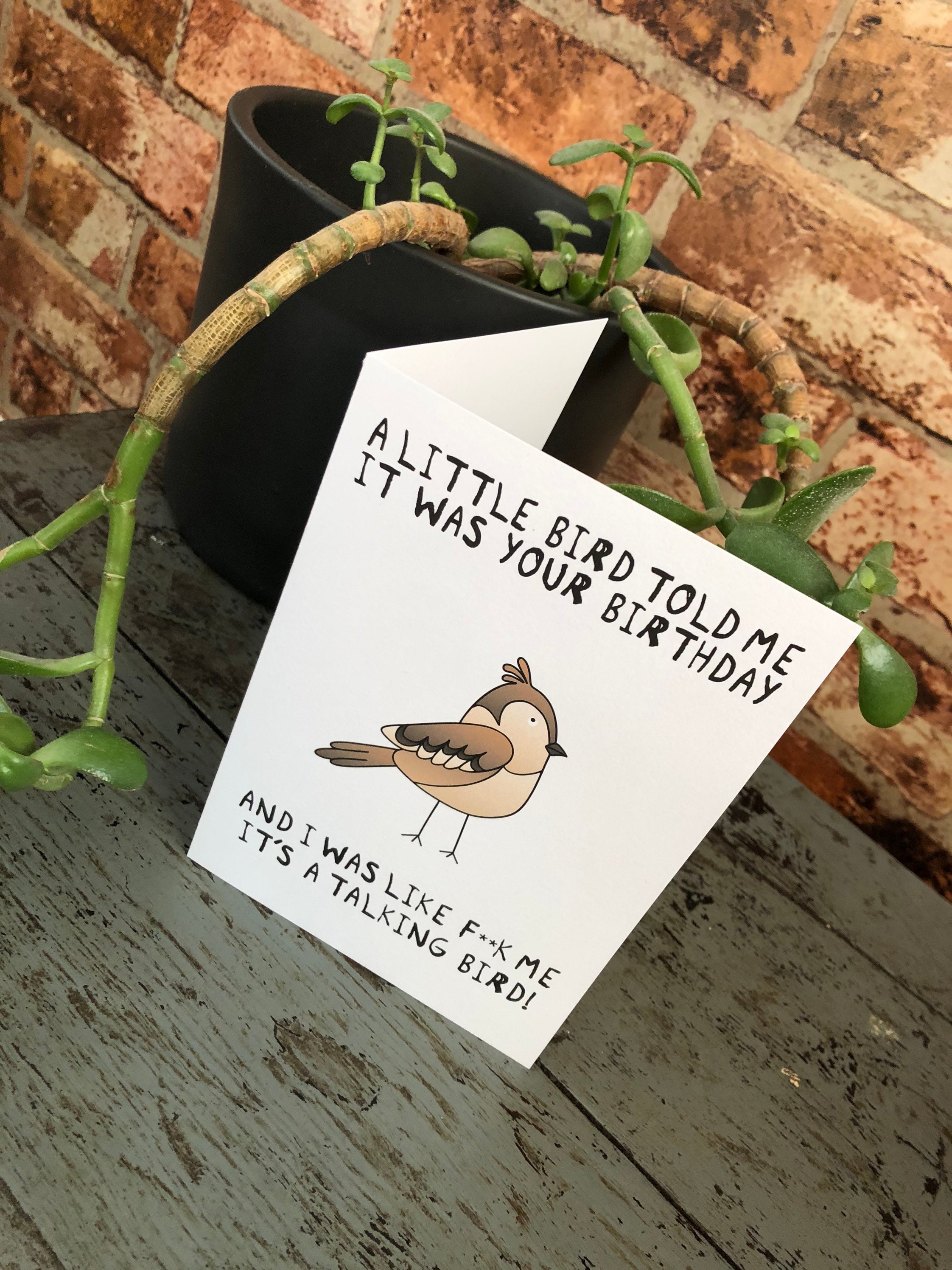 Bird Card, Bird Birthday Card, Bird Lovers Card, Gifts for Him, Gifts ...