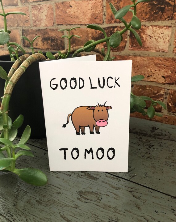 Cow Card Good Luck Card Cow Good Luck Card Cow Gifts Cow - Etsy