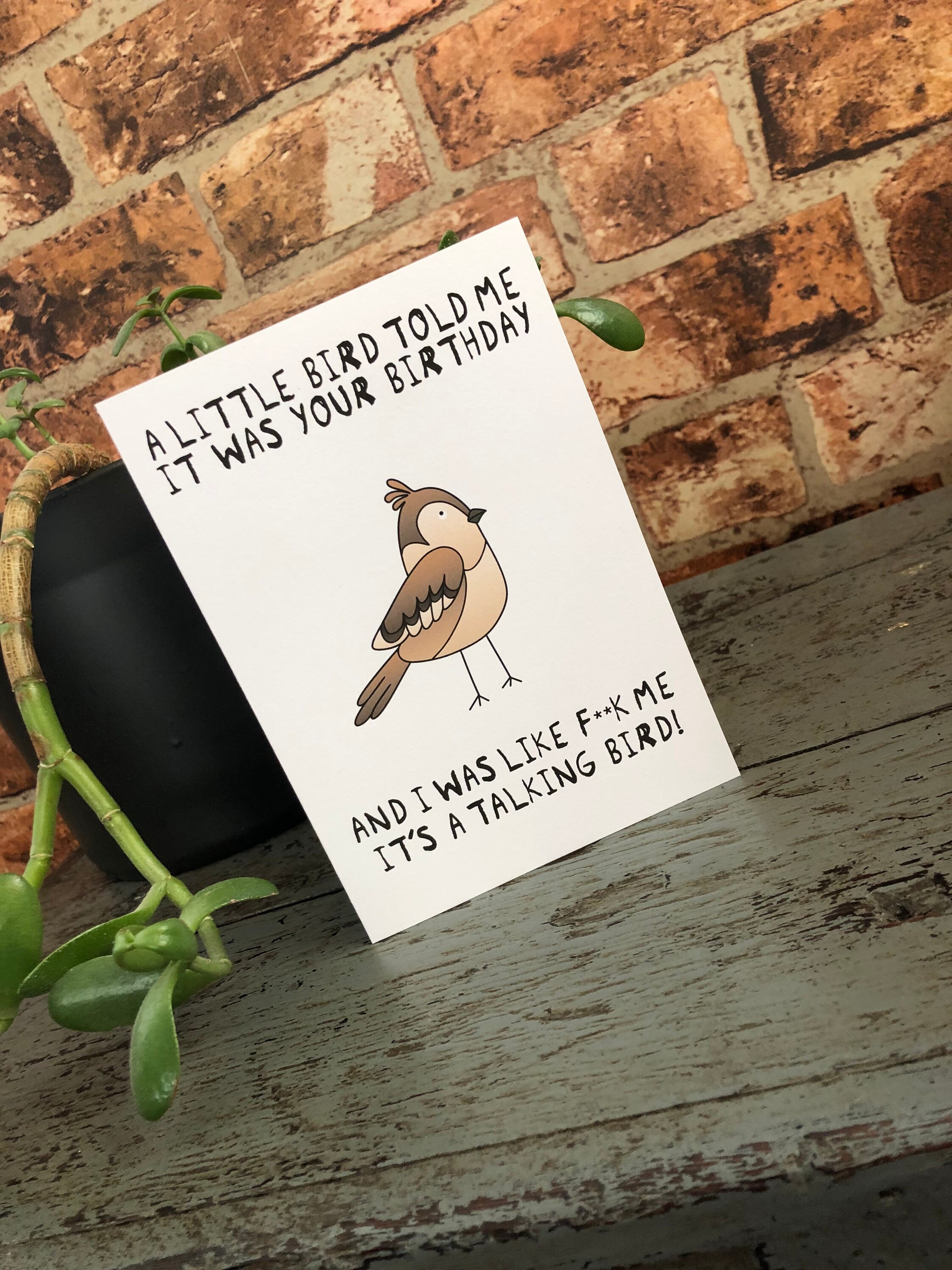 Bird Card, Bird Birthday Card, Bird Lovers Card, Gifts for Him, Gifts ...