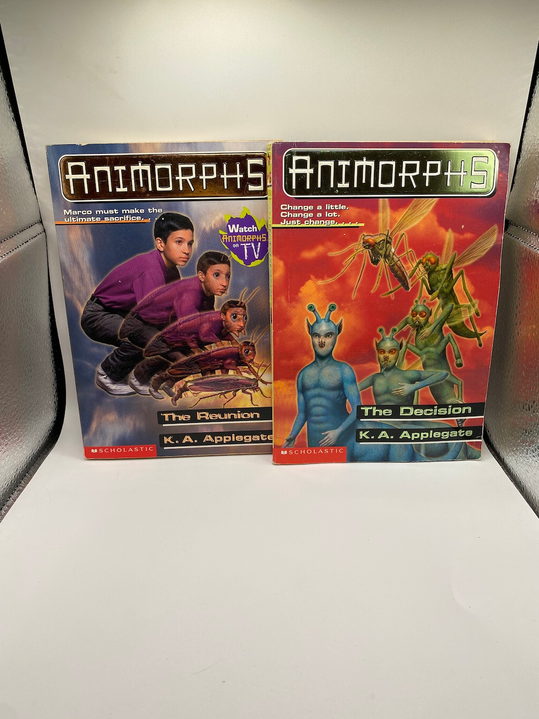 2 Animorphs Books Bundle. the Reunion and the Decision. - Etsy
