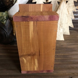Carolina Wren Nesting Box - Etsy