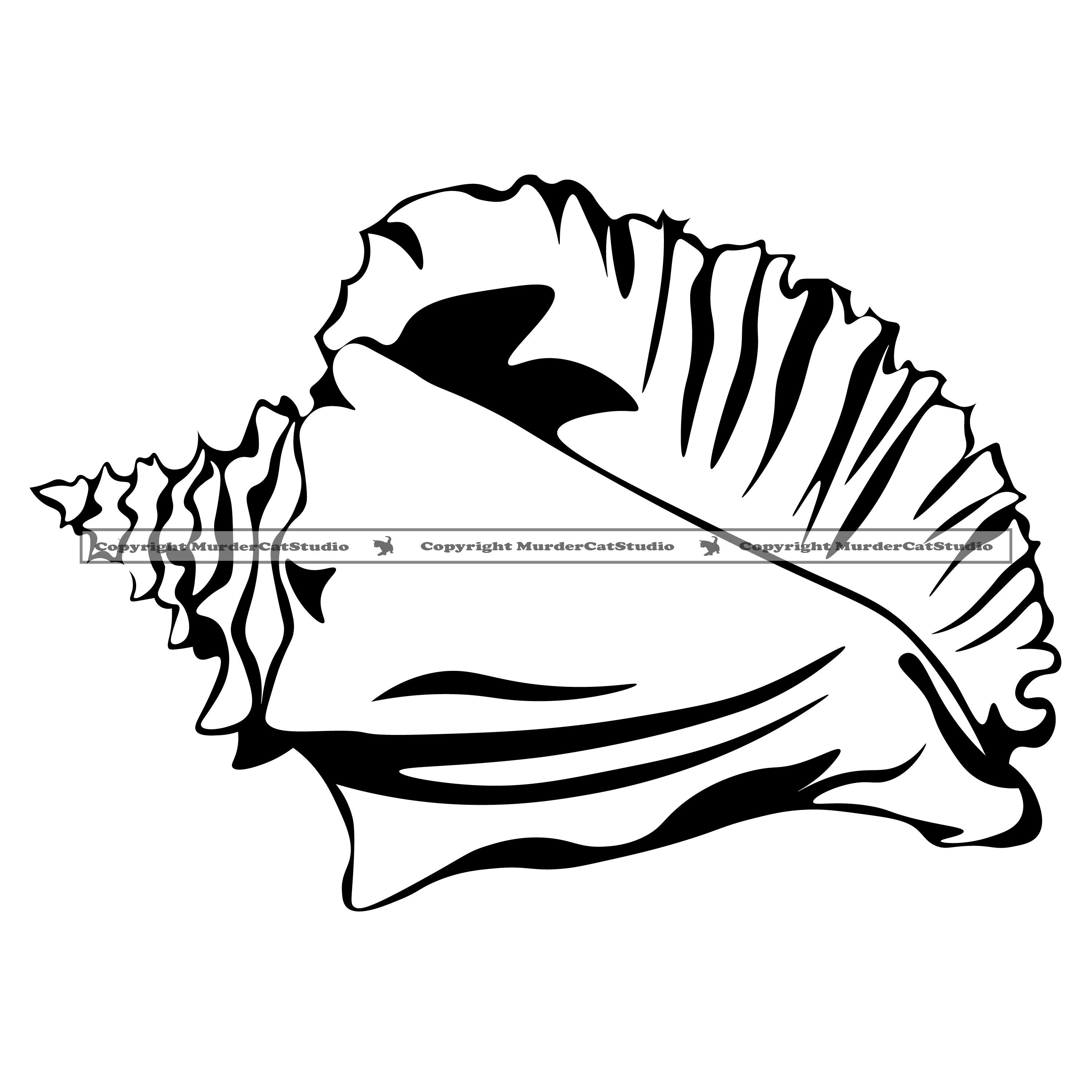 Conch Shell 5 Sea Animal Water Ocean Design Element Art SVG | Etsy