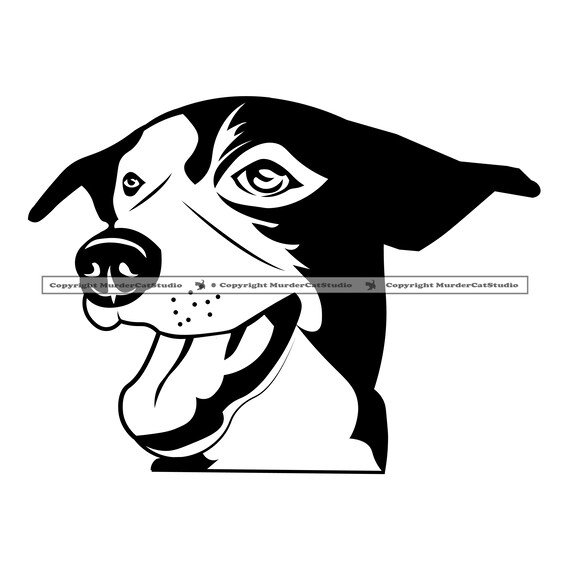 Retriever #5 Labrador Dog Breed Head Face Happy K9 Smile Paw Pup Puppy ...