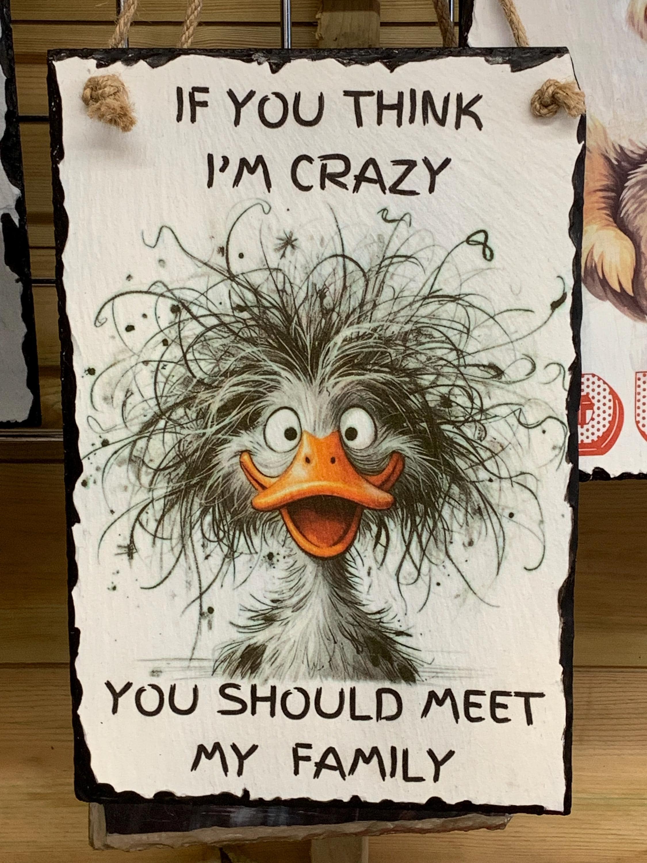 Crazy Duck - Etsy