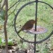 Bird Feeder Stake-bird Feeder Gardening-supports Handmade-steel ...