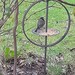 Bird Feeder Stake-bird Feeder Gardening-supports Handmade-steel ...