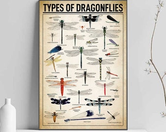 Dragonfly Id Poster - Etsy