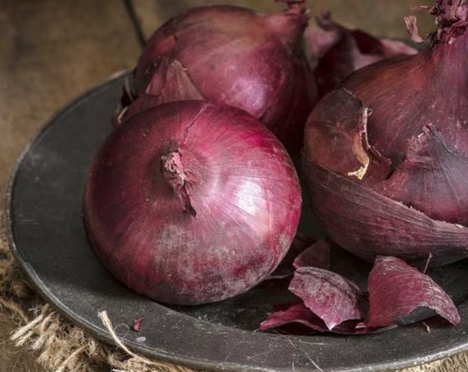 Ruby Red Long Day Onion Seeds - Etsy