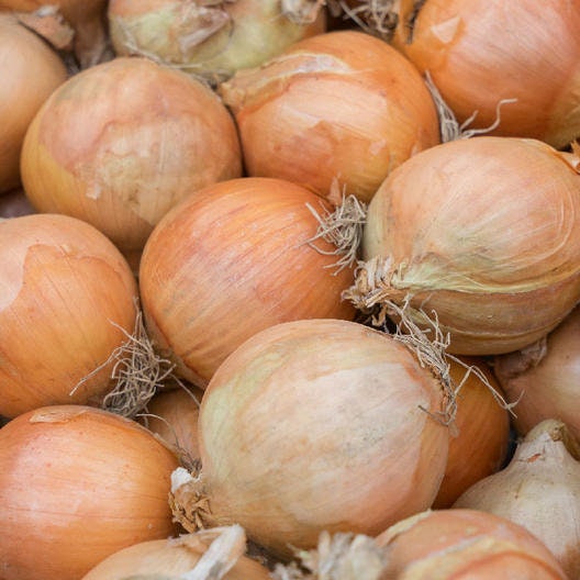USA SELLER Sweet Spanish Yellow Onion 100 Seeds HEIRLOOM - Etsy