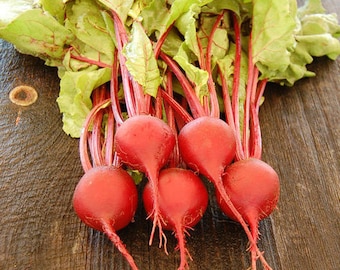 USA SELLER Crosby Egyptian Beet 50 Seeds HEIRLOOM | Etsy