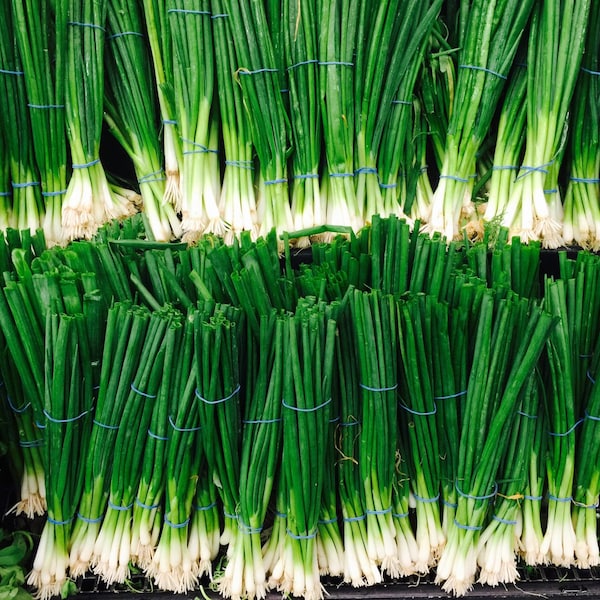 Green Onion - Etsy