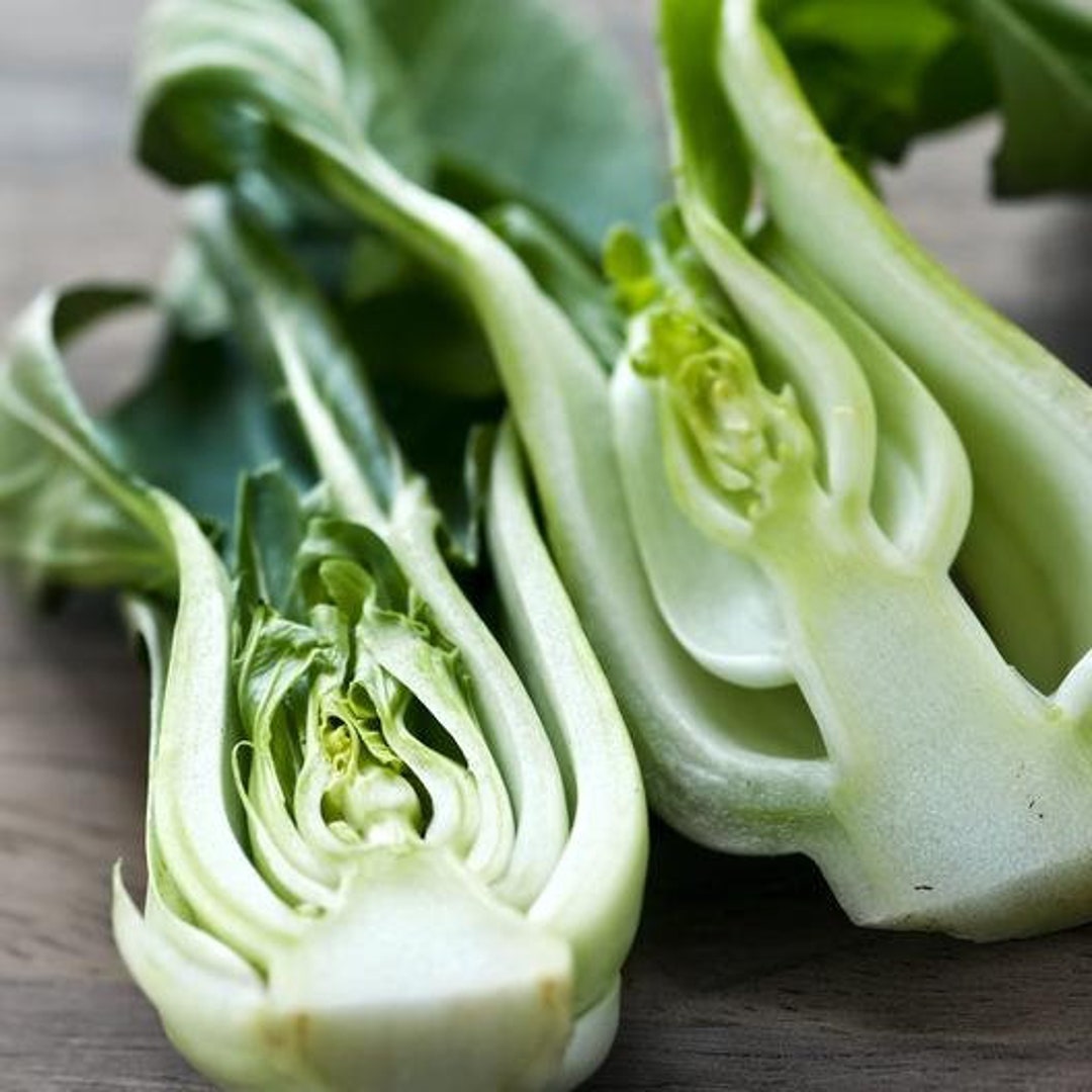 USA SELLER Pak Choy White Stem Chinese Cabbage200 Seeds HEIRLOOM ...