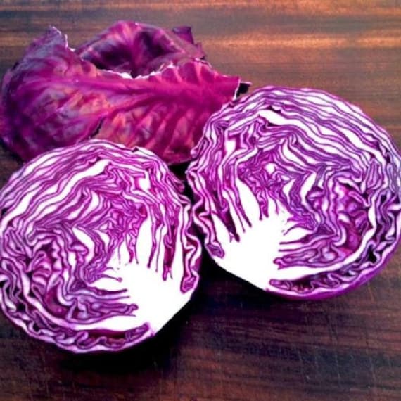 USA SELLER Red Express Cabbage 200 Seeds HEIRLOOM - Etsy