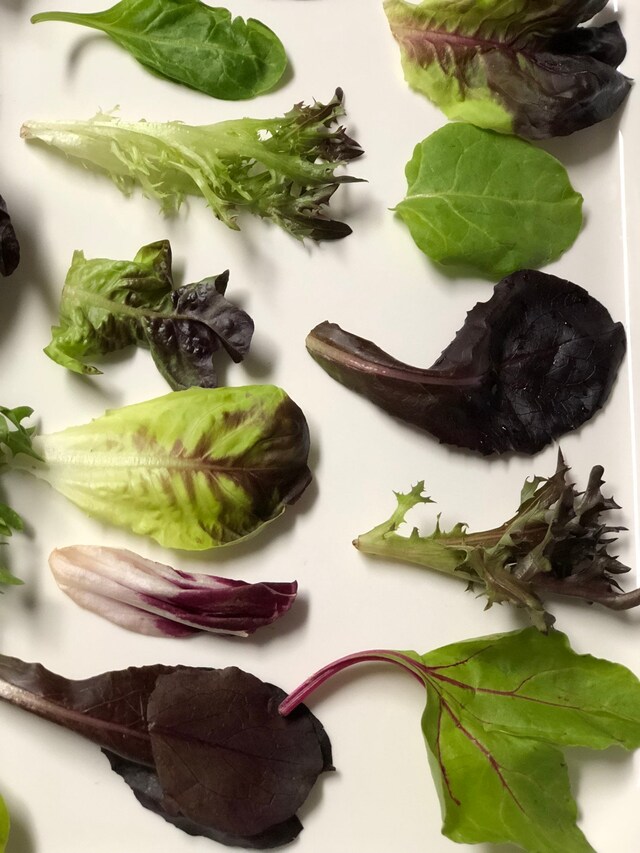 TheWinterGarden1 - Etsy